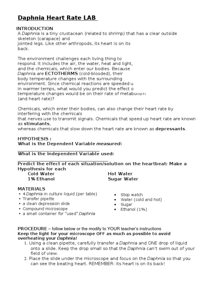 Daphnia Heart Rate LAB | PDF | Heart Rate | Water