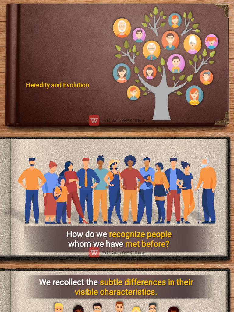 Heredity and Evolution - Compressed | PDF | Zygosity | Dominance (Genetics)