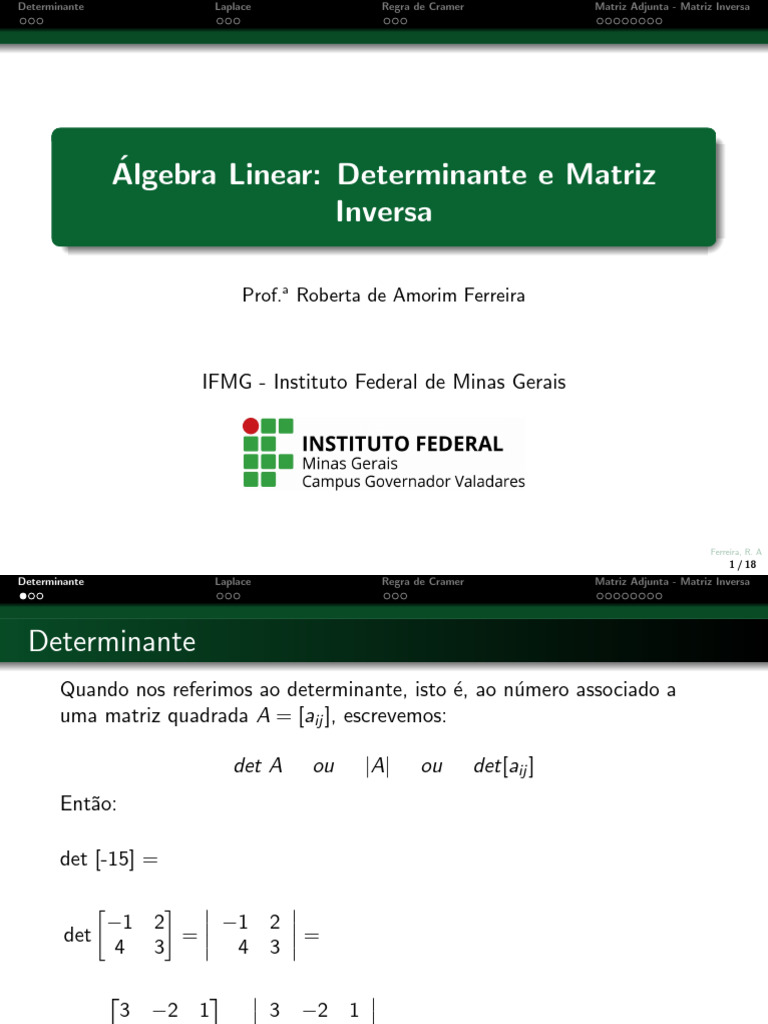 Determinantes e Matrizes Inversas | PDF | Determinante | Matriz ...