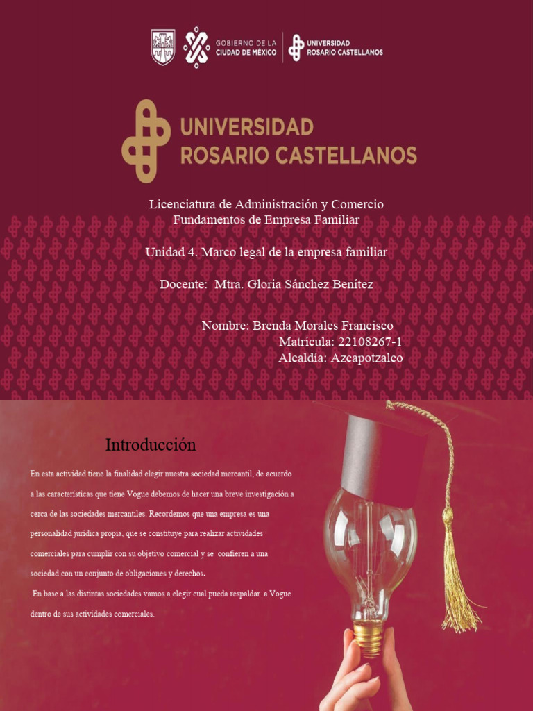 FEF U4 Morales Brenda.639 | PDF | Business | Economias