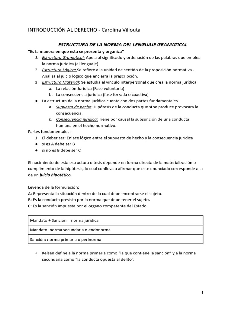 Resumen Intro Al Dº - Carolina Villouta | PDF | Ley procesal | Derecho ...