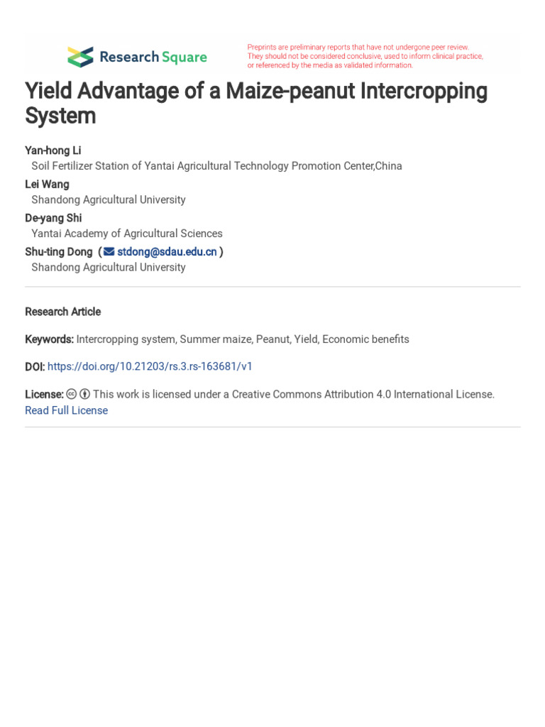 Yield Advantage of A Maize-Peanut Intercropping | PDF | Agriculture | Maize