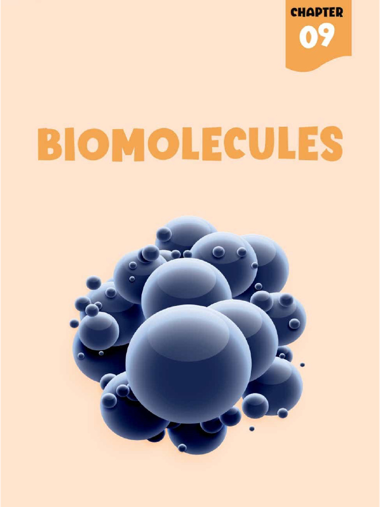 Biomolecules Class11 | PDF