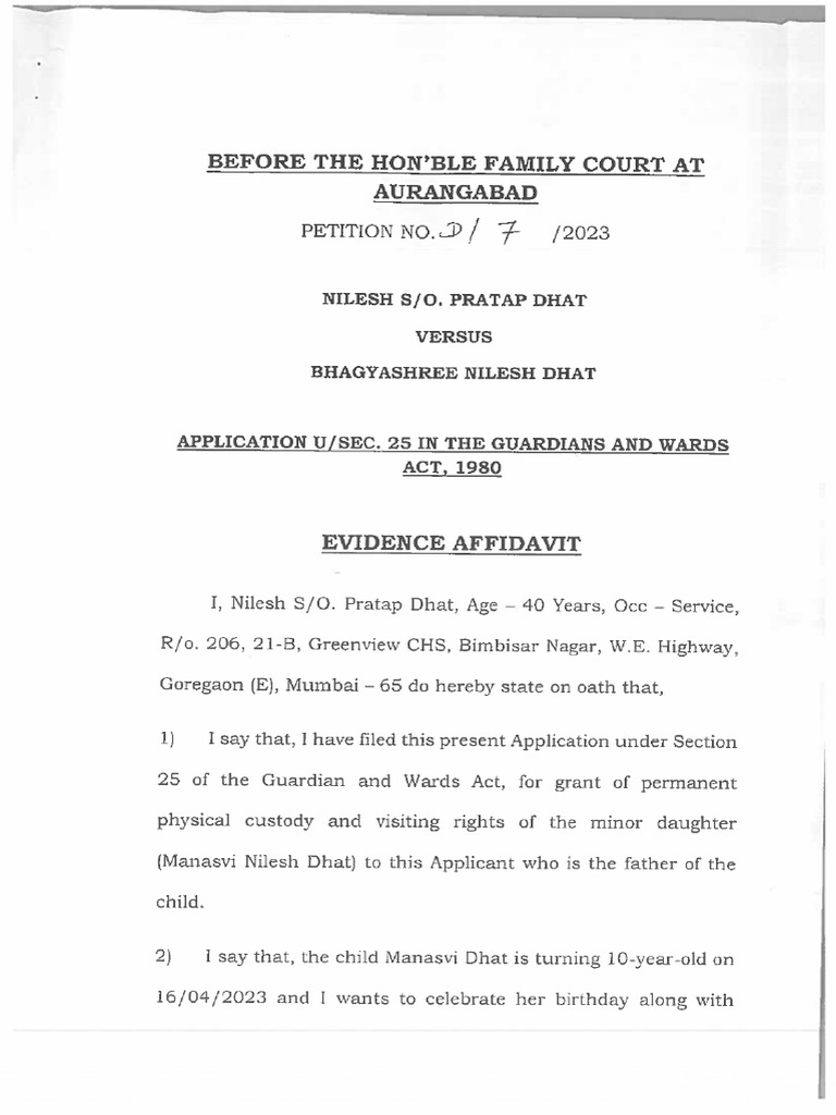 Evidence Affidavit | PDF | Child Custody