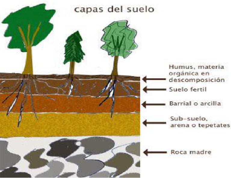 Capas Del Suelo | PDF