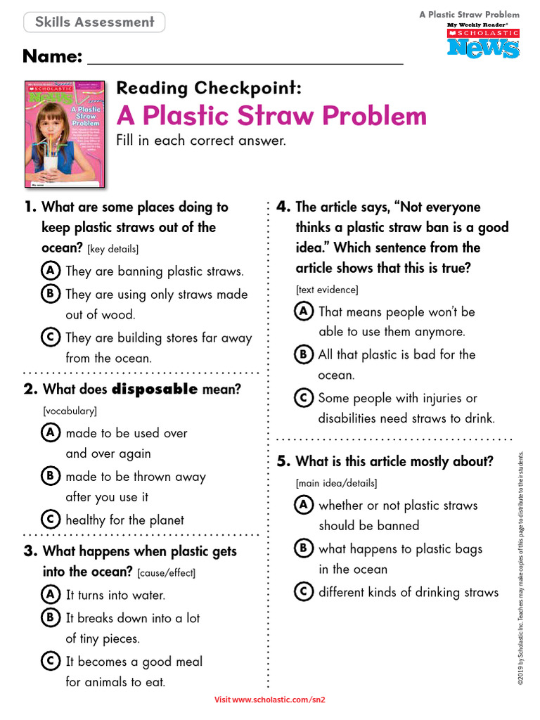 Plastic Straw Problem Reading Checkpoint | PDF