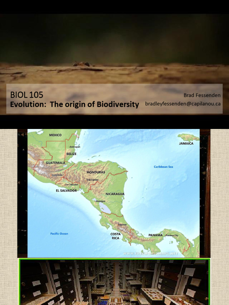03 - Evolution The Origin of Biodiversity | PDF | Plate Tectonics ...
