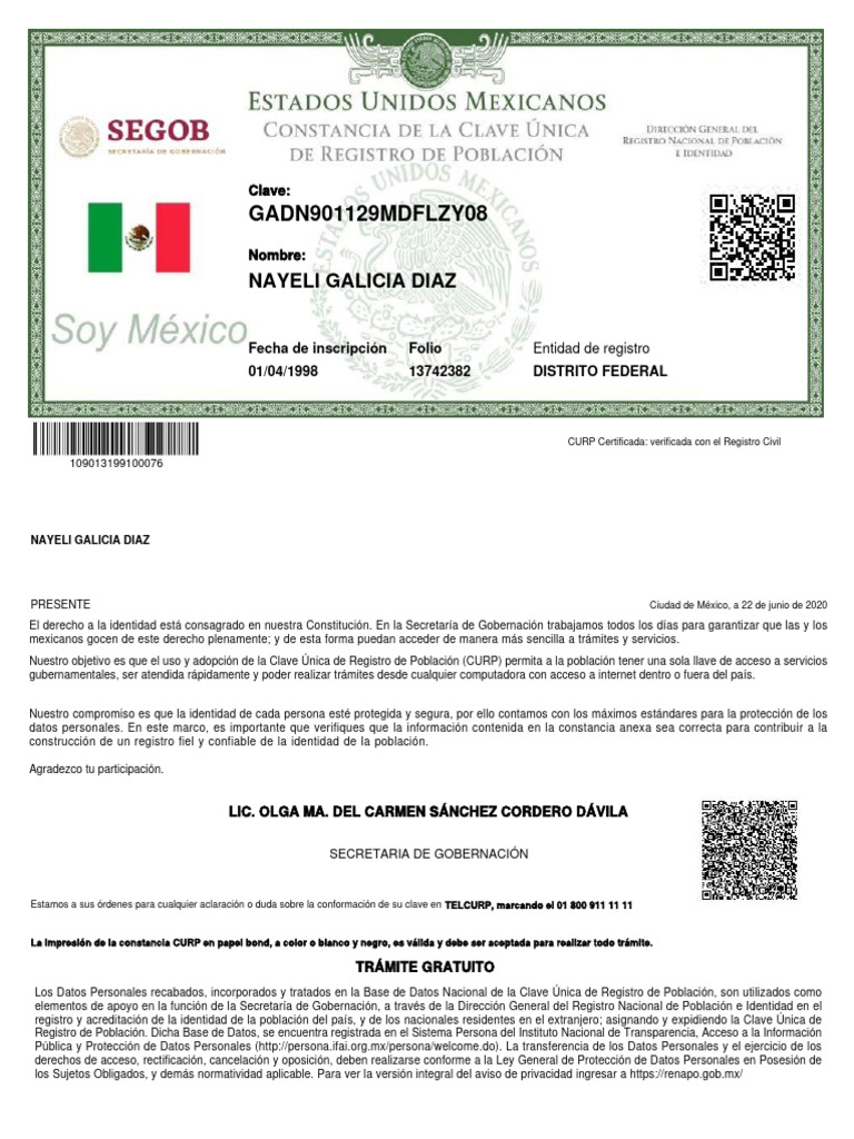 Curp Nayeli | PDF | Gobierno