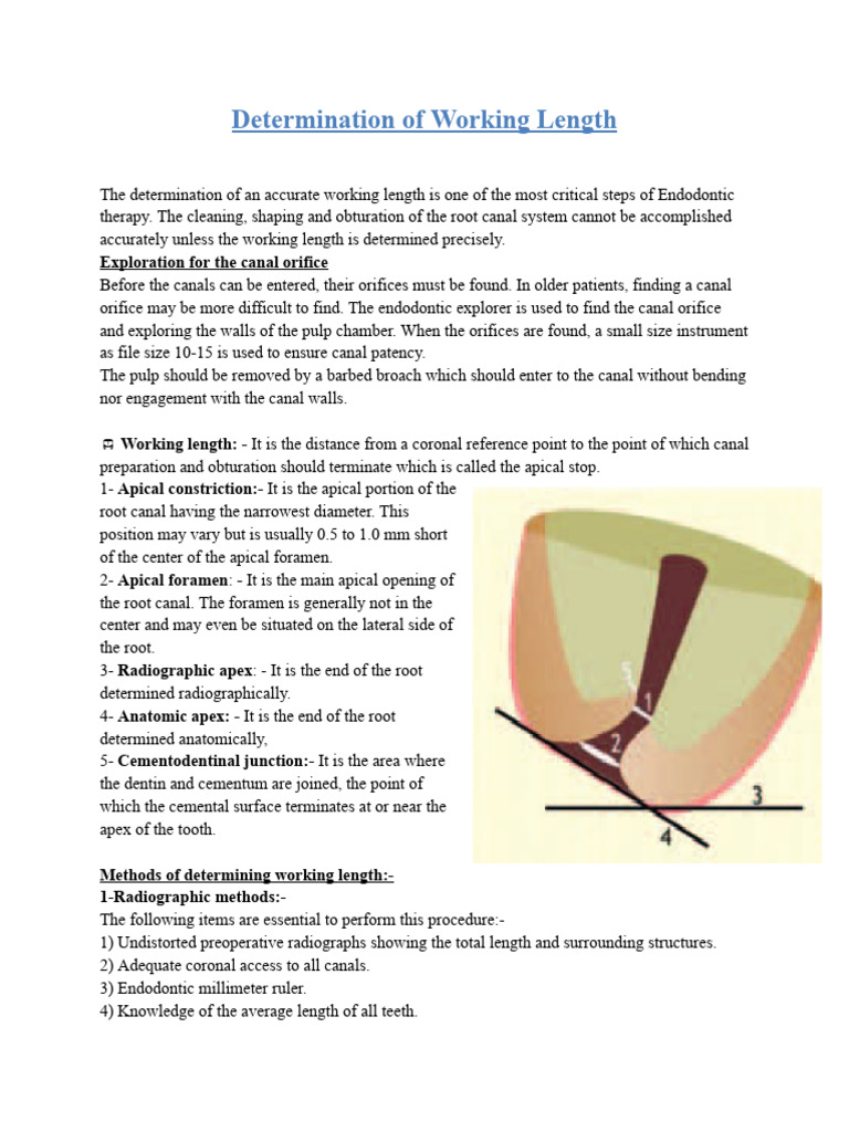 Determination of Working Length | PDF | Tooth | Mouth