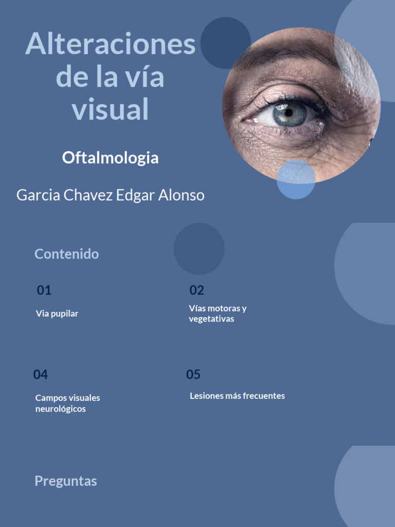 Exposicion Via Visual | PDF | Corteza visual | Percepción visual