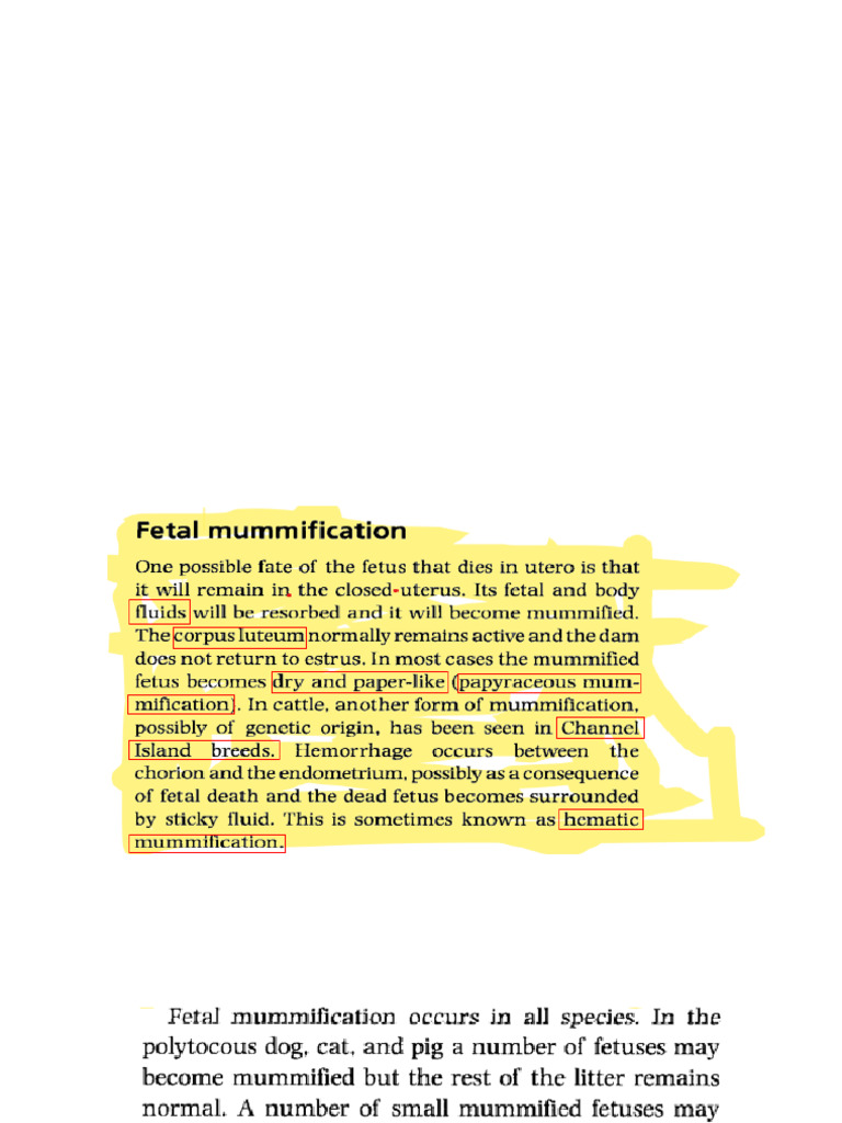 Mummification Therio | PDF