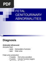 UTD Classification for Radiologists | PDF | Radiology | Urology