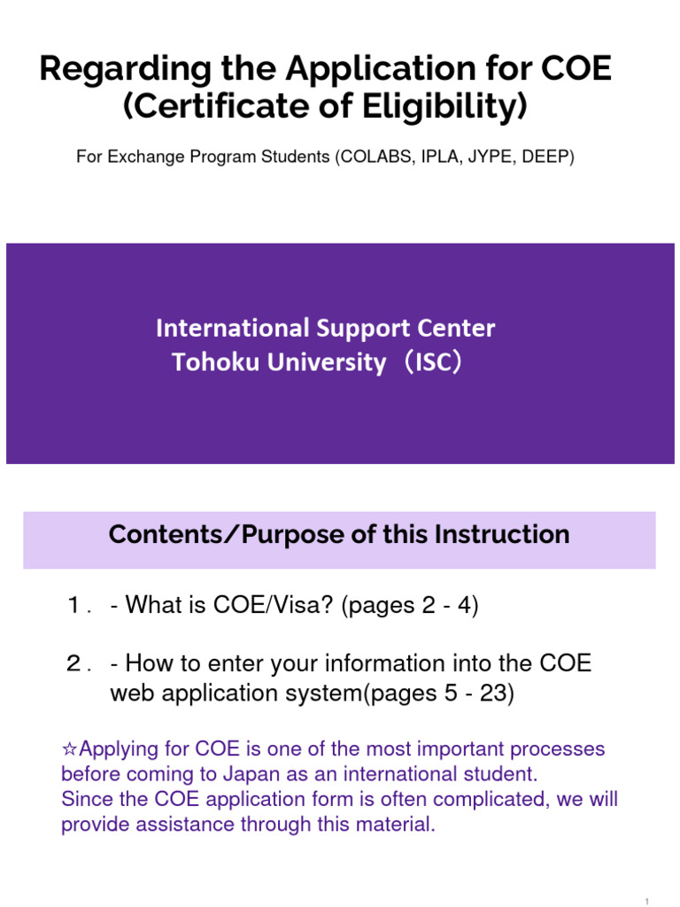 Application For COE - 2024S | PDF | Travel Visa | Email Spam