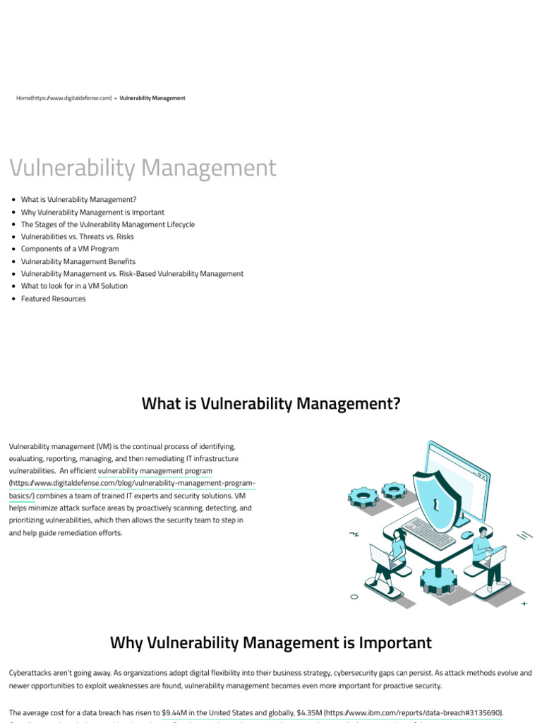 What Is Vulnerability Management | PDF | Vulnerability (Computing) | Security