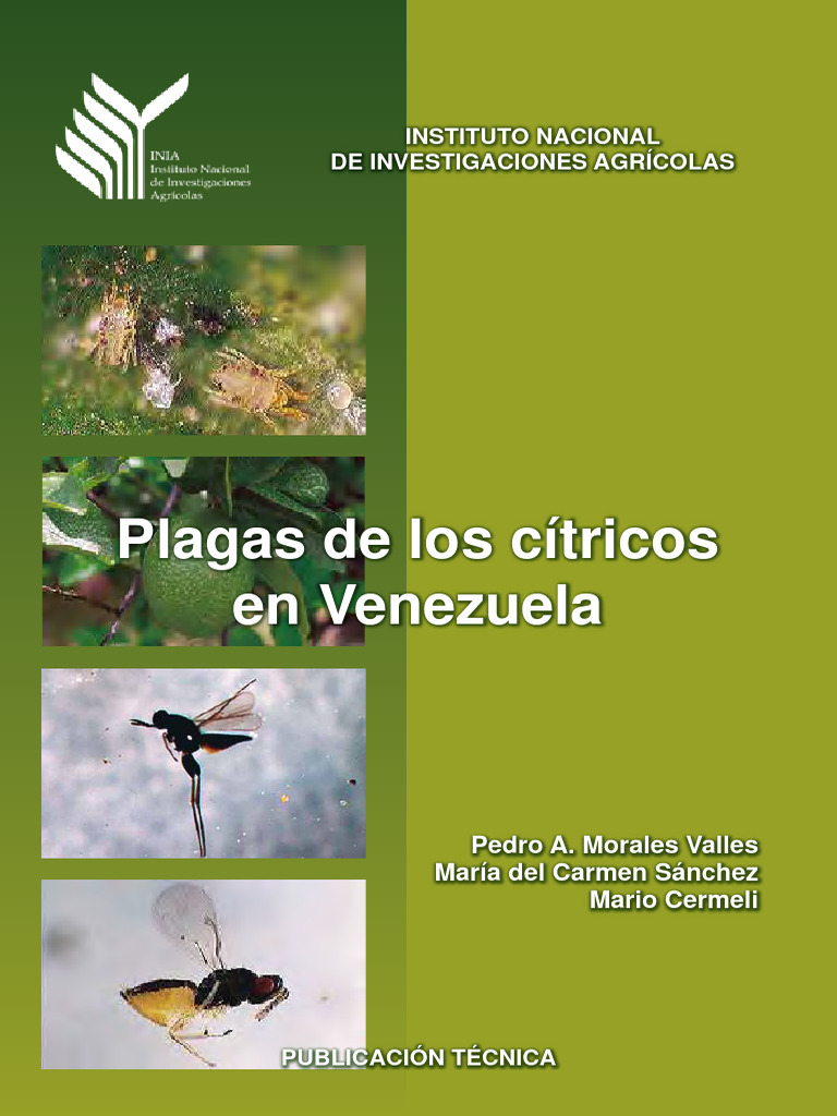 Plagas de los citricos en Venezuela | PDF | Agrios | Insectos