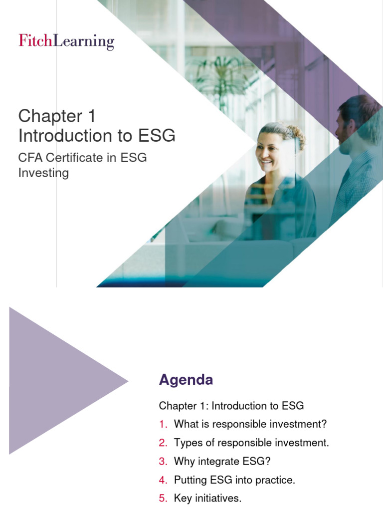 Chapter 1 Intro To ESG Investing | PDF | Business | Economies
