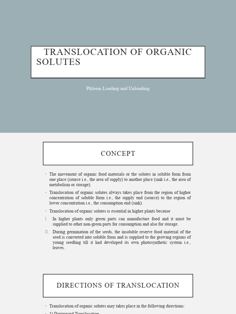 Loading Unloading Pdf Leaf Physiology