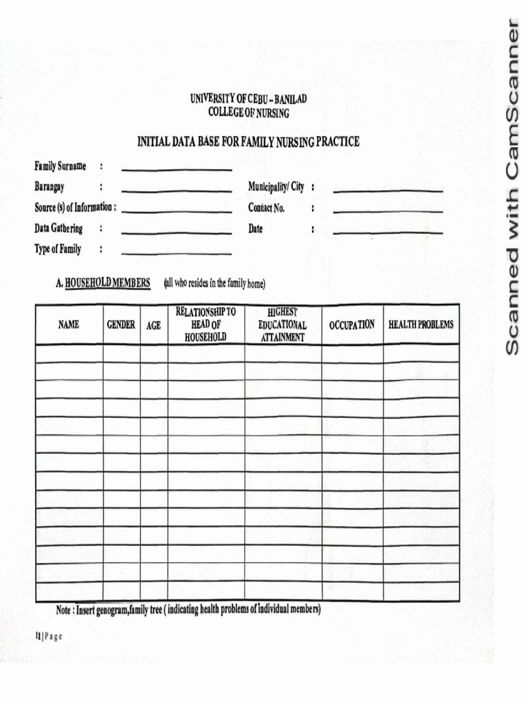 CHN Initial Database Guidelines | PDF