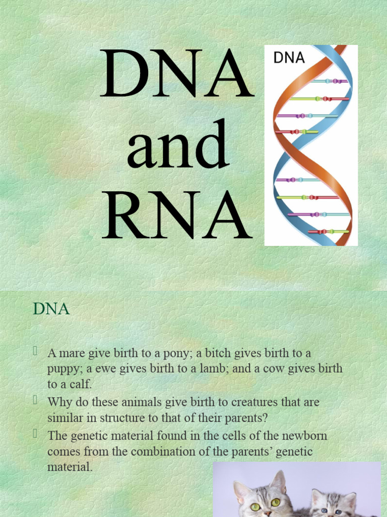 DNA & RNA | PDF | Dna | Rna