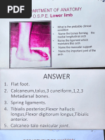 RULA Employee Assessment Worksheet | PDF | Arm | Anatomical Terms Of Motion