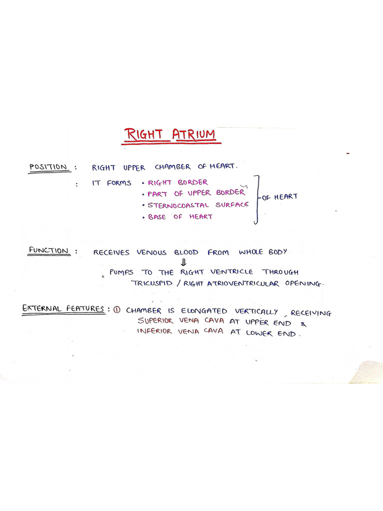 Right Atrium | PDF