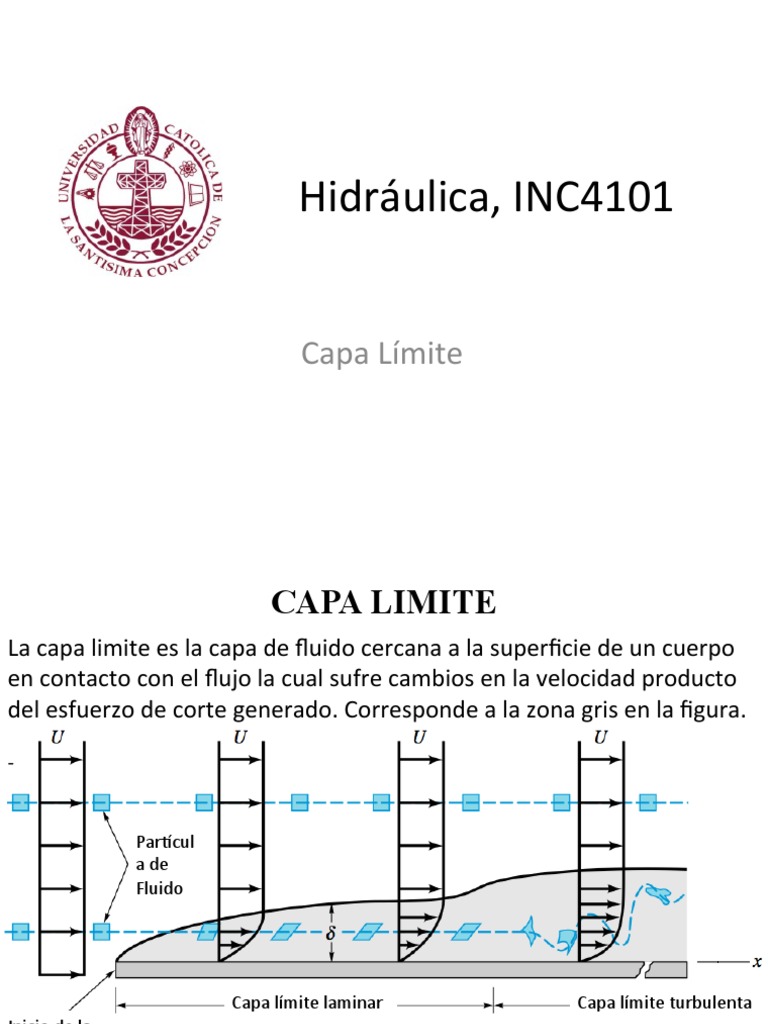 Capa Limite | PDF | Capa límite | Viscosidad