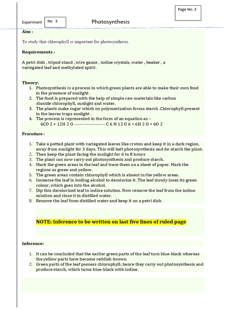 Photosynthesis in Plants | PDF | Wellness