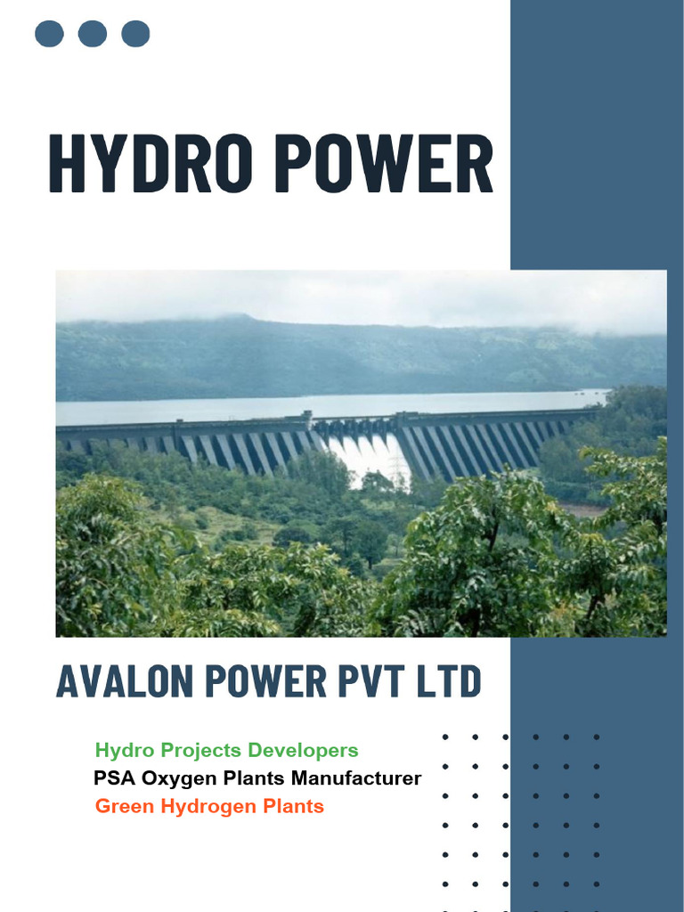 Hydel Power Project Developer | PDF | Hydroelectricity | Infrastructure