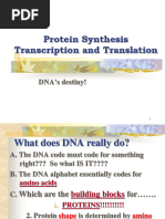 DNA vs. RNA and Protein Synthesis | PDF | Translation (Biology) | Rna