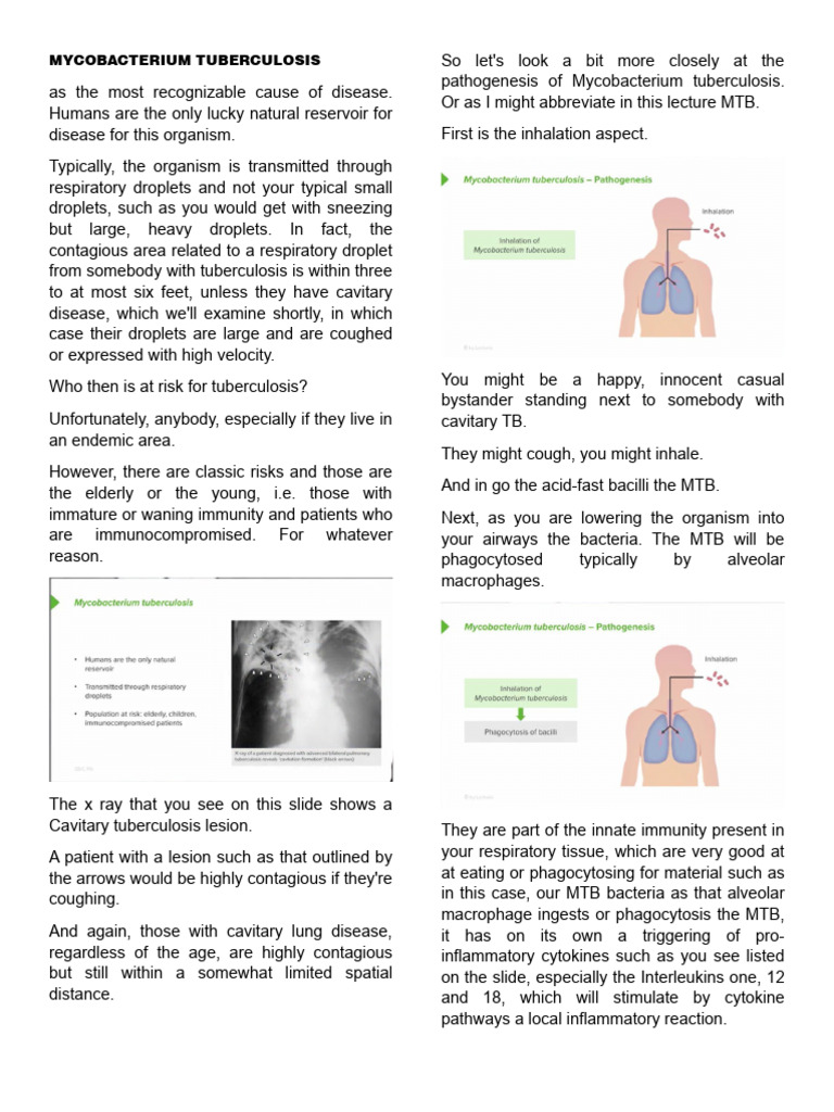 Understanding Mycobacterium Tuberculosis | PDF | Tuberculosis | Macrophage