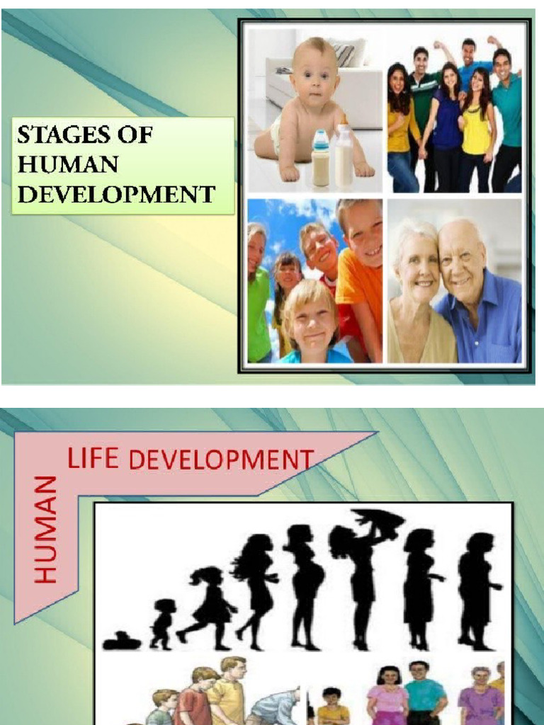 Stages of Human Development (WEEK 89) | PDF