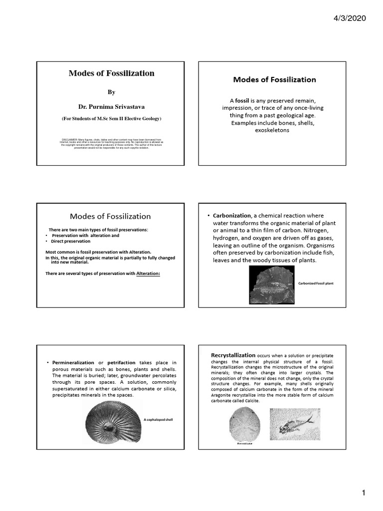 202004032250571287purima Sriv Geol Modes of Fossilization | PDF ...