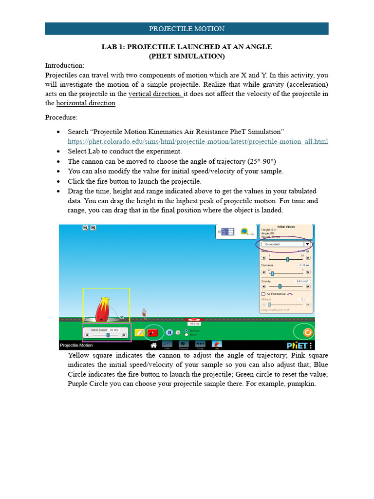 LAB 1 - Projectile Launched at An Angle PETA 2 | PDF | Motion (Physics ...
