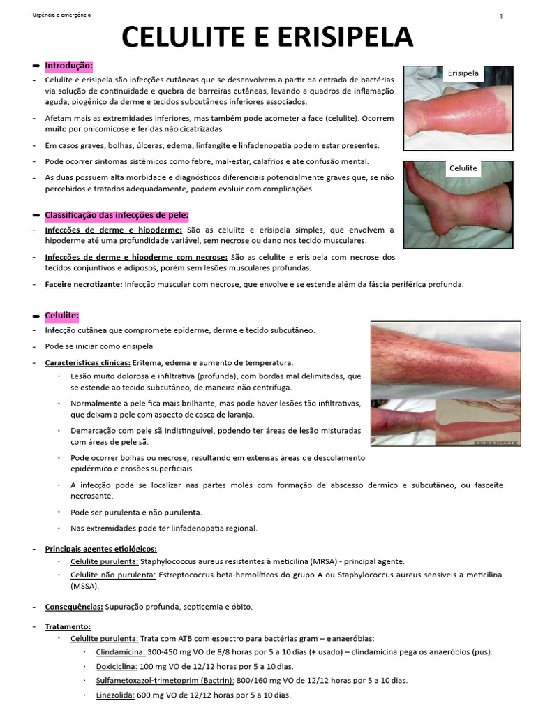 Celulite e Erisipela PDF | PDF | Doenças e distúrbios | Pele