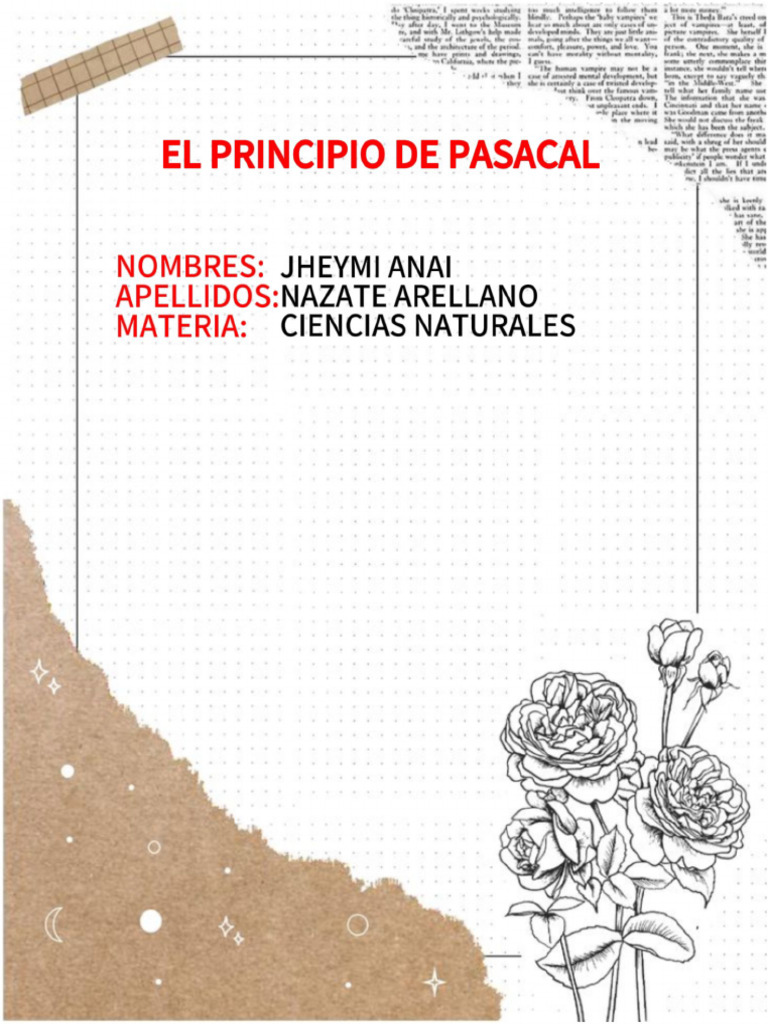 Escaneado 20240811-2333 | PDF