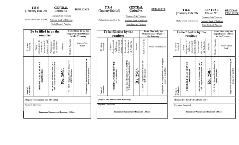 MPT Challan Form for CSS 2025 | PDF | Money | Hm Treasury
