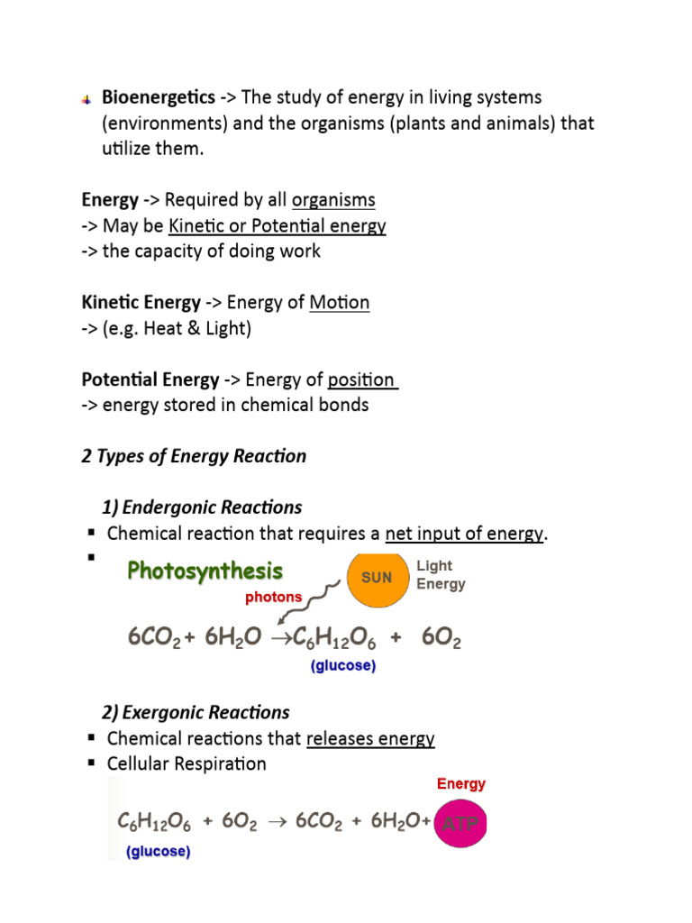 Bioenergetics | PDF | Science & Mathematics