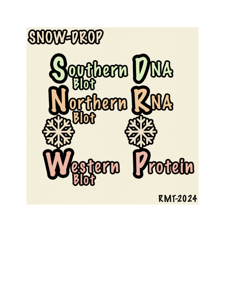 Snow Drop Mnemonic Vector - by JM | PDF