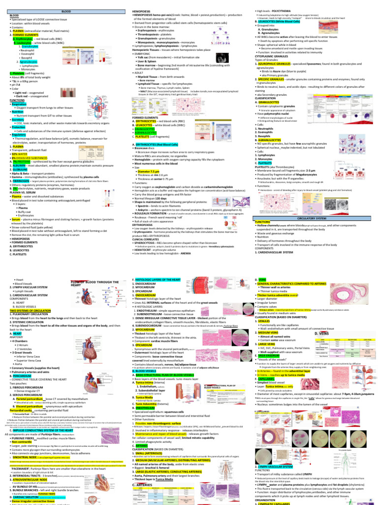 Histo Lec Lab Finalssssssss | PDF | Immune System | Vein