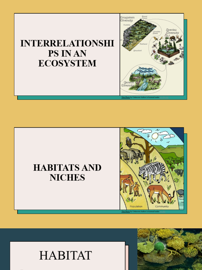 Habitats and Niches | PDF | Ecological Niche | Ecosystem