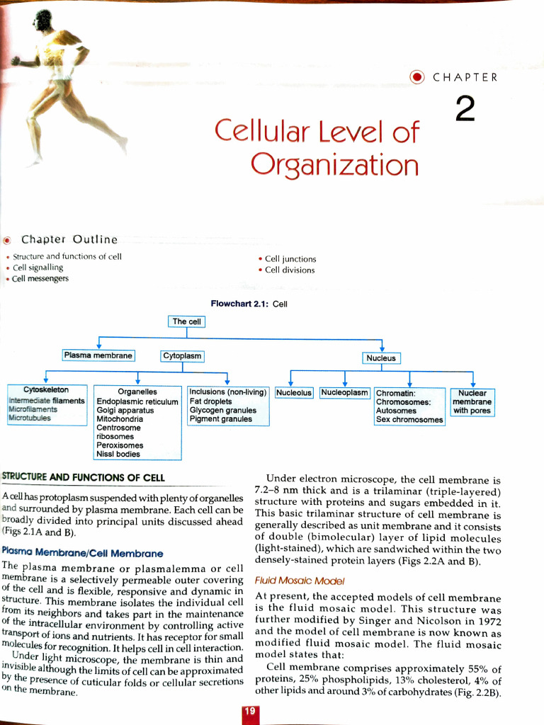 Cellular Level of Organisation 12.08.2024 | PDF | Cell Membrane | Endoplasmic Reticulum