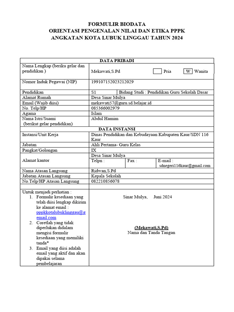 Formulir Biodata Meka | PDF