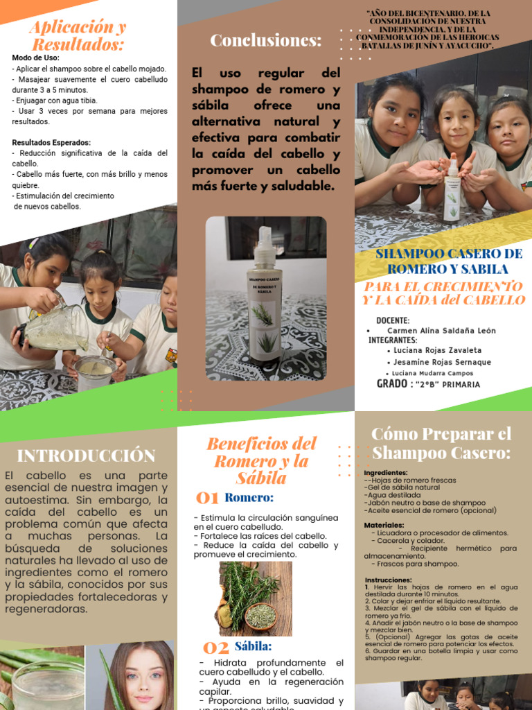 Folleto Tríptico Academia Taller Actividades Infantiles Doodle Rosa y Amarillo | PDF | Pelo