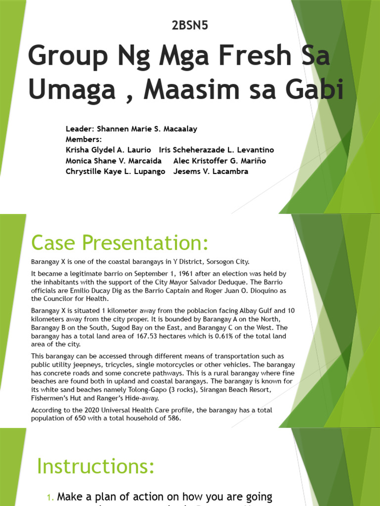 Community Development Plan for Barangay X | PDF | Community