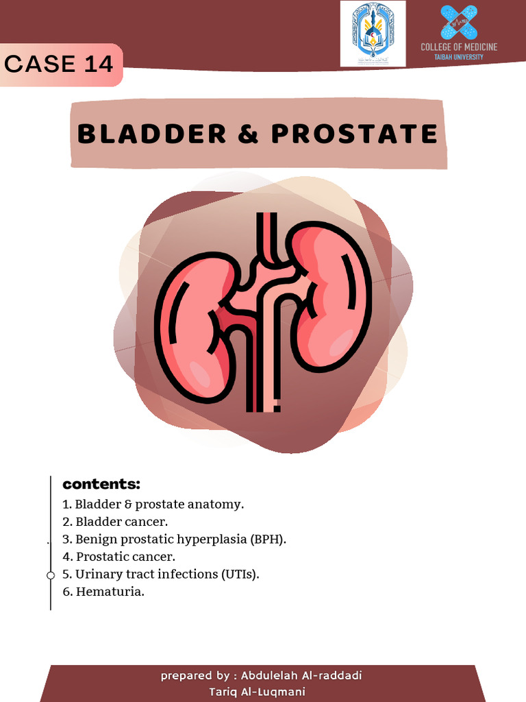 Bladder & Prostate | PDF | Urinary Tract Infection | Prostate