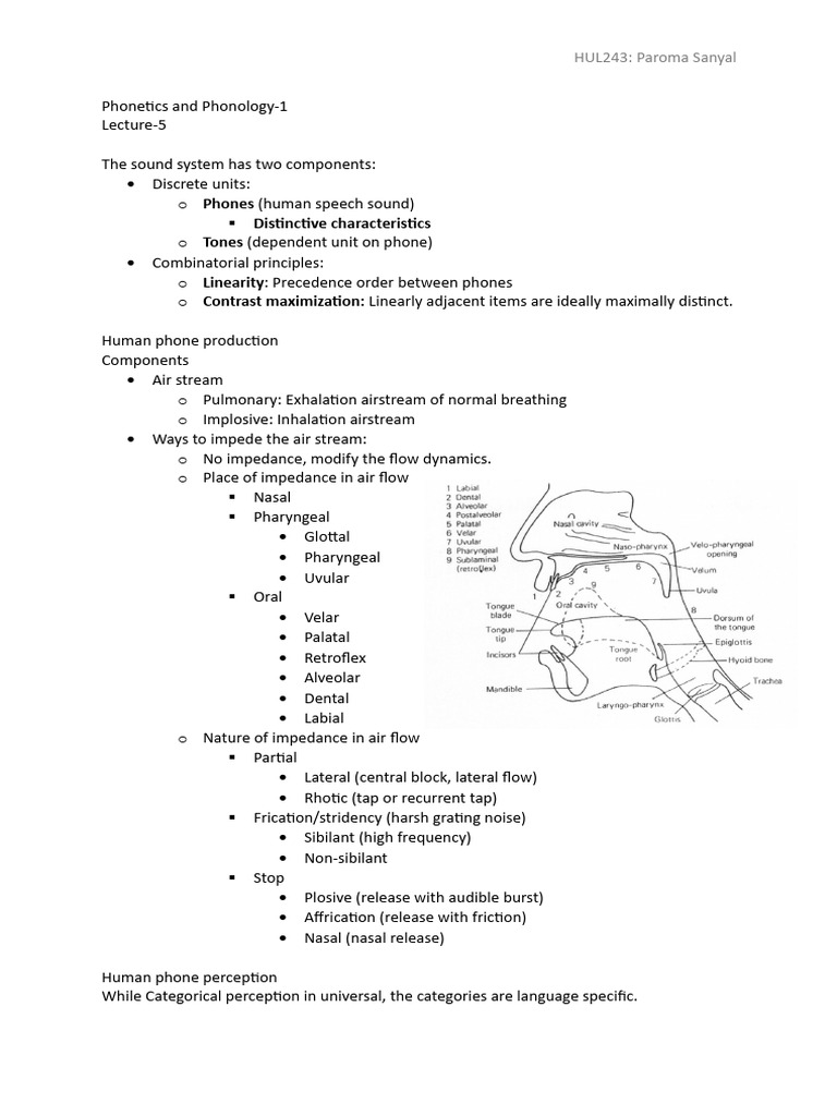 Lecture 5-Phonetics and Phonology | PDF | Phonetics | Human Voice