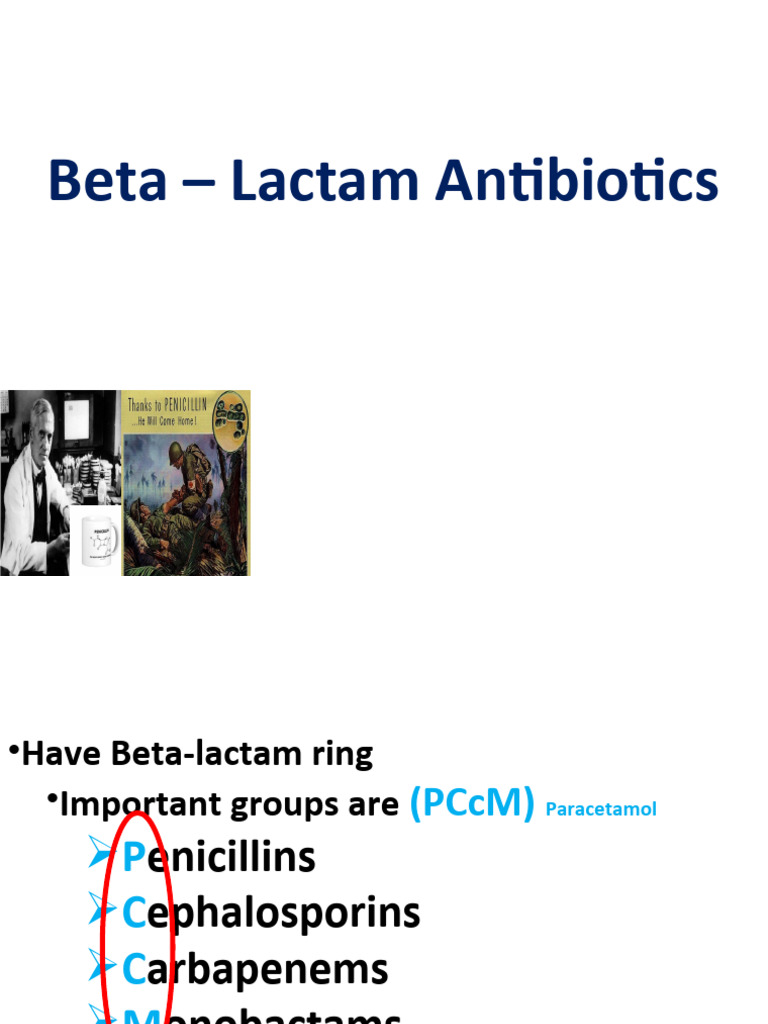 Beta Lactam Antibiotics1 | PDF | Penicillin | Beta Lactamase