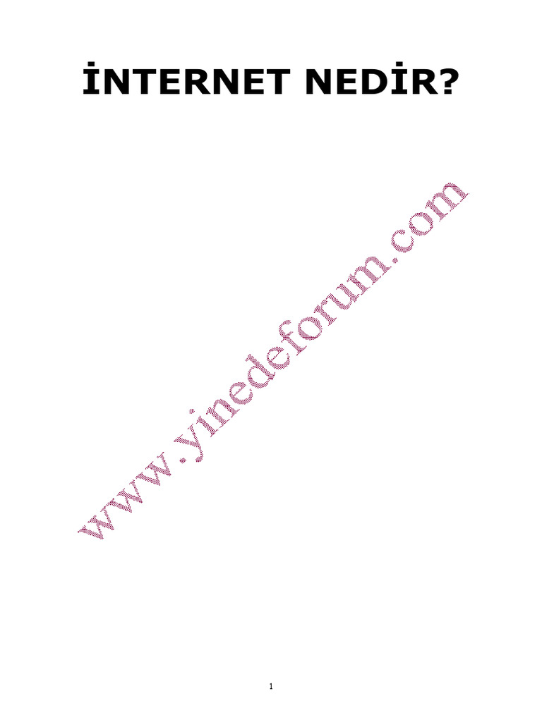 Internet Nedir | PDF