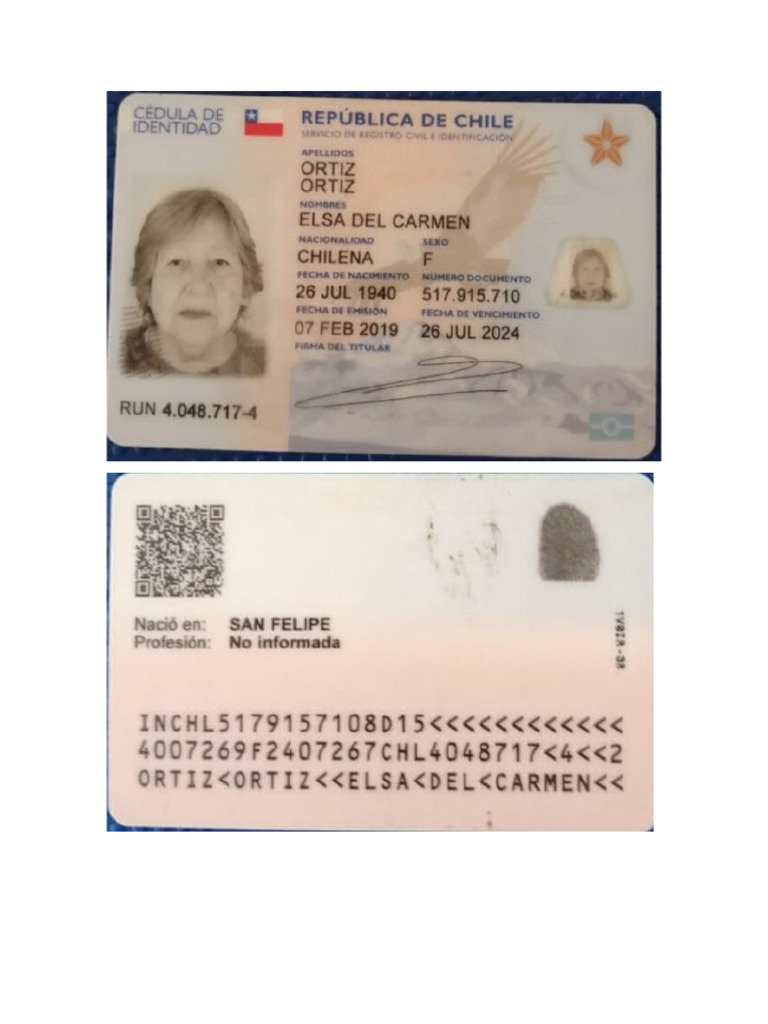 Carnet Elsa Ortiz | PDF