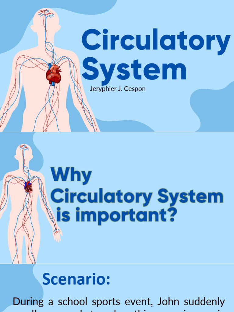 Types of Circulation | PDF